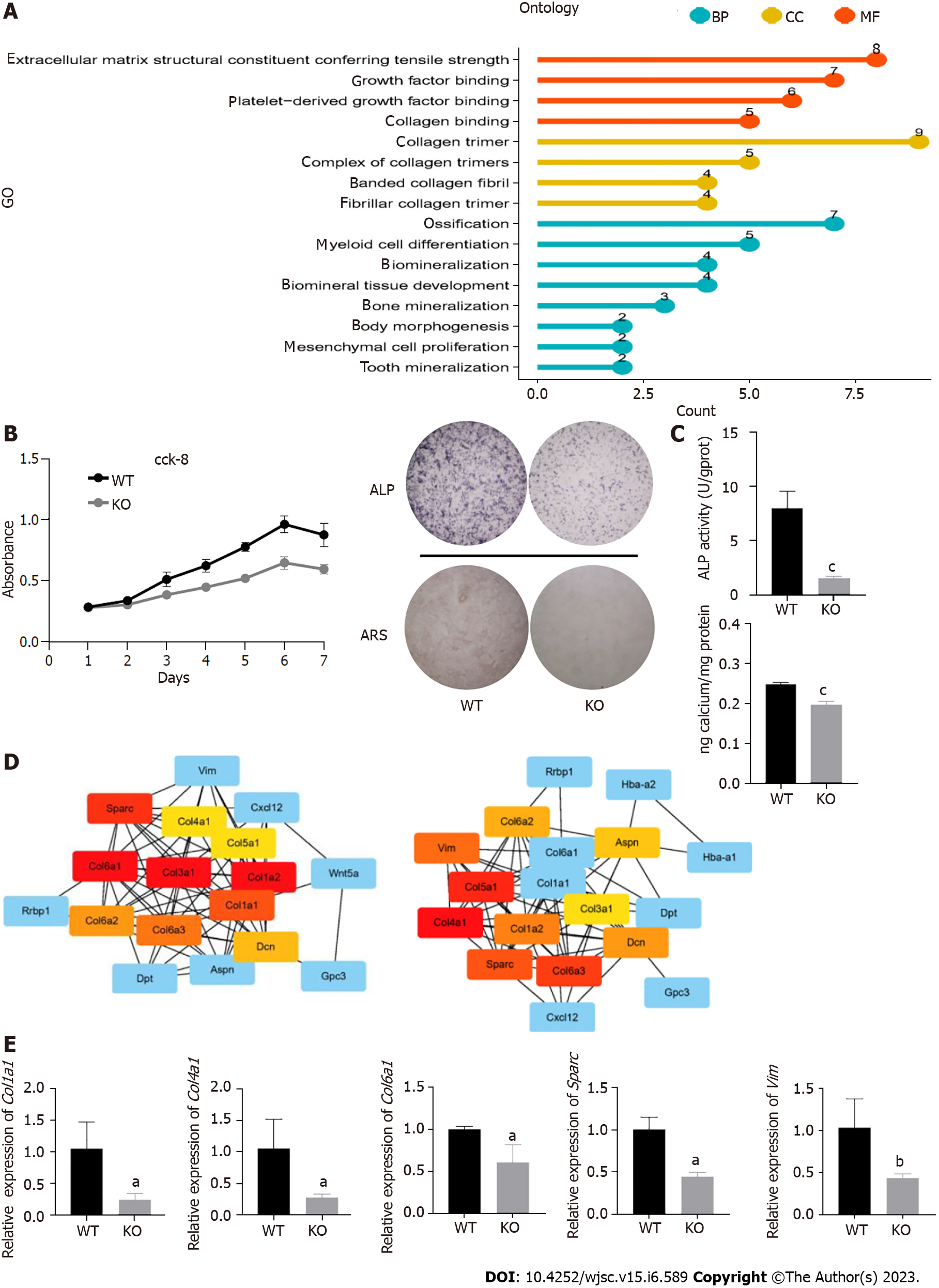 Single cell RNA sequencing reveals mesenchymal heterogeneity and ...