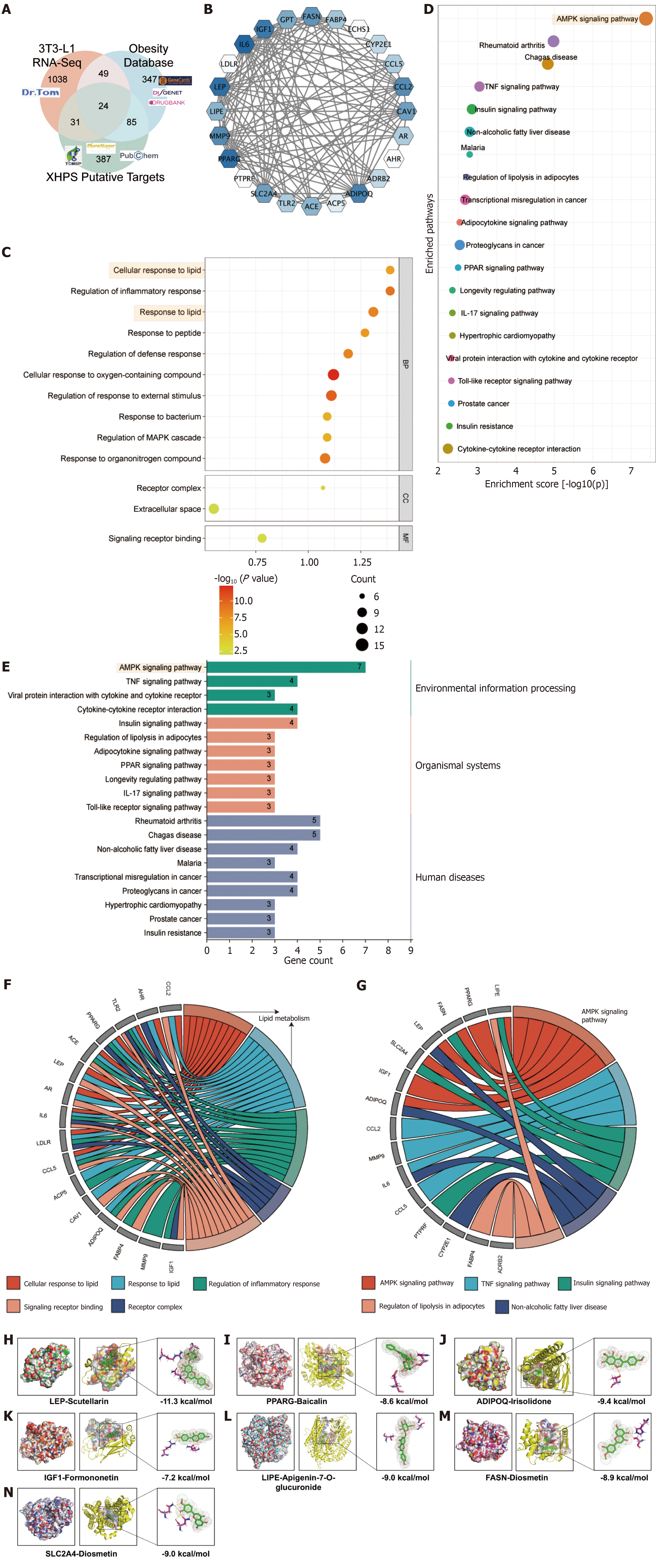 Integrated serum metabolomics reveal molecular mechanism of Xietu Hemu ...