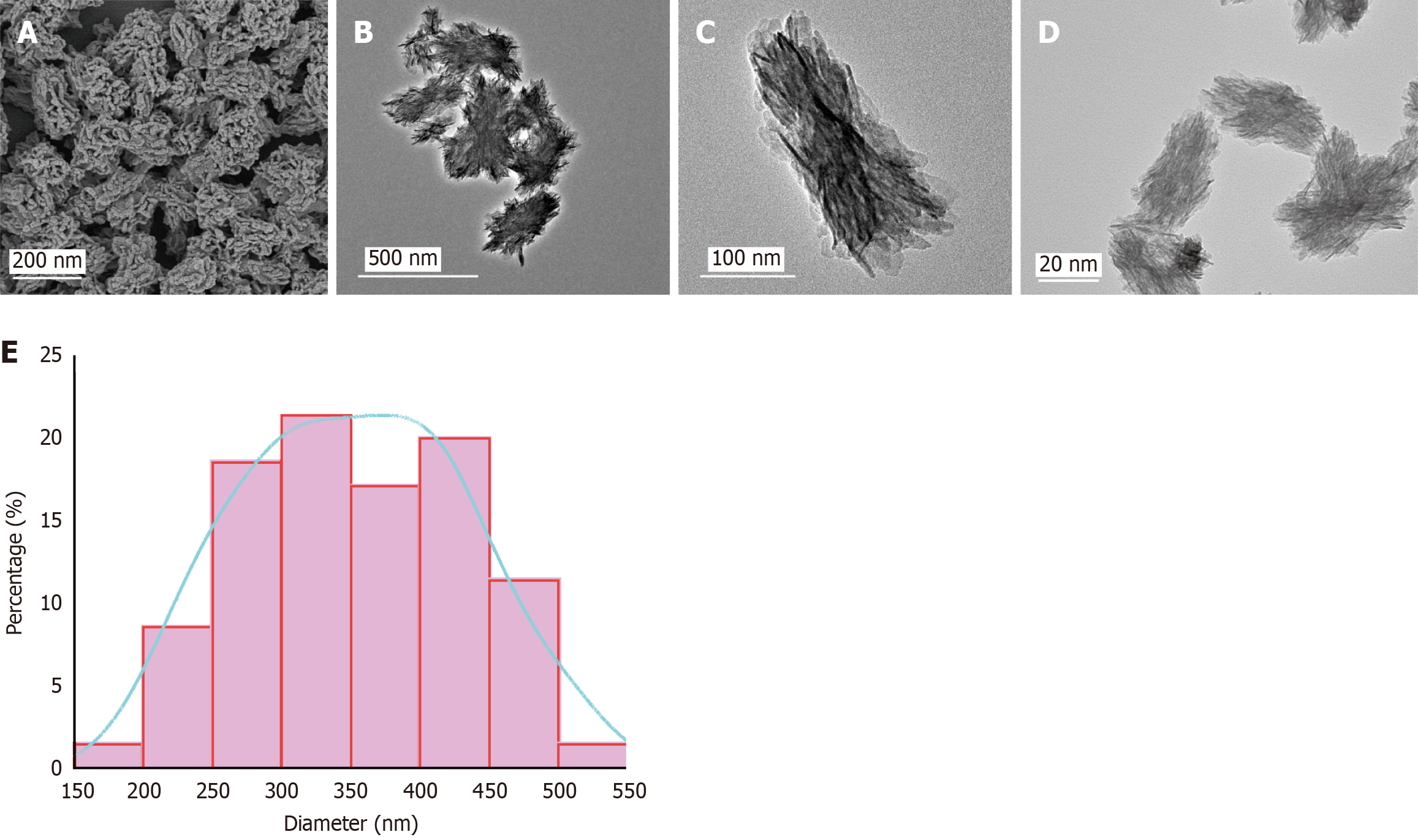 Calcifying nanoparticles induce apoptosis and calcification in bone ...