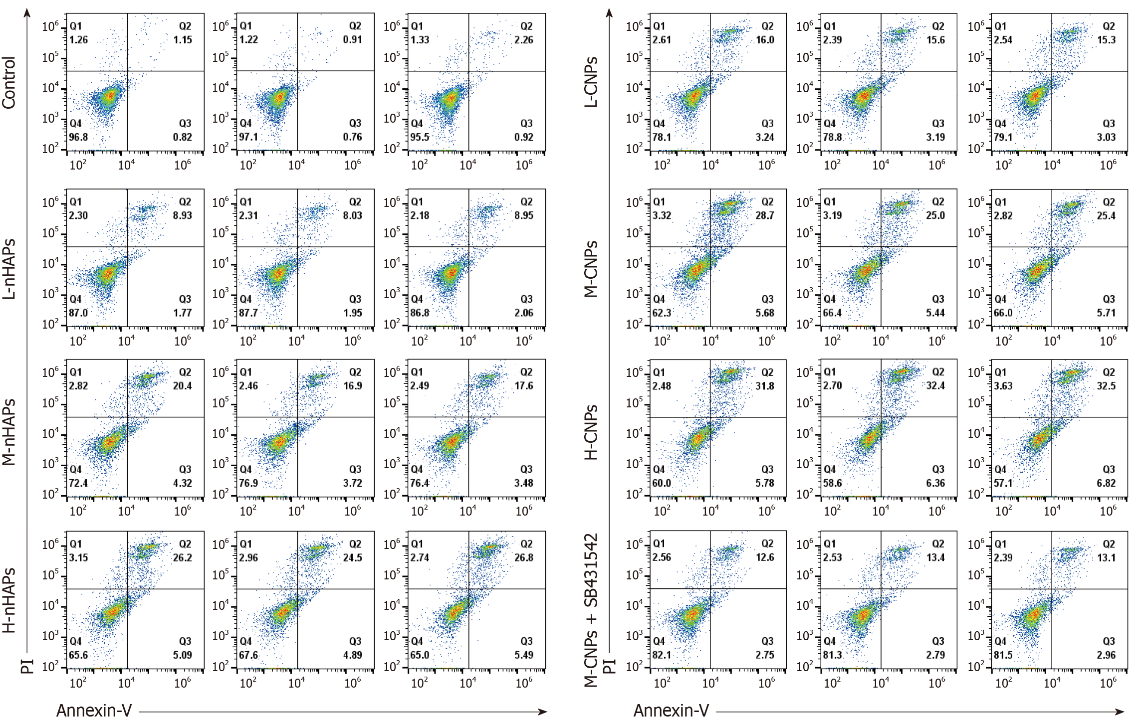 Calcifying nanoparticles induce apoptosis and calcification in bone ...