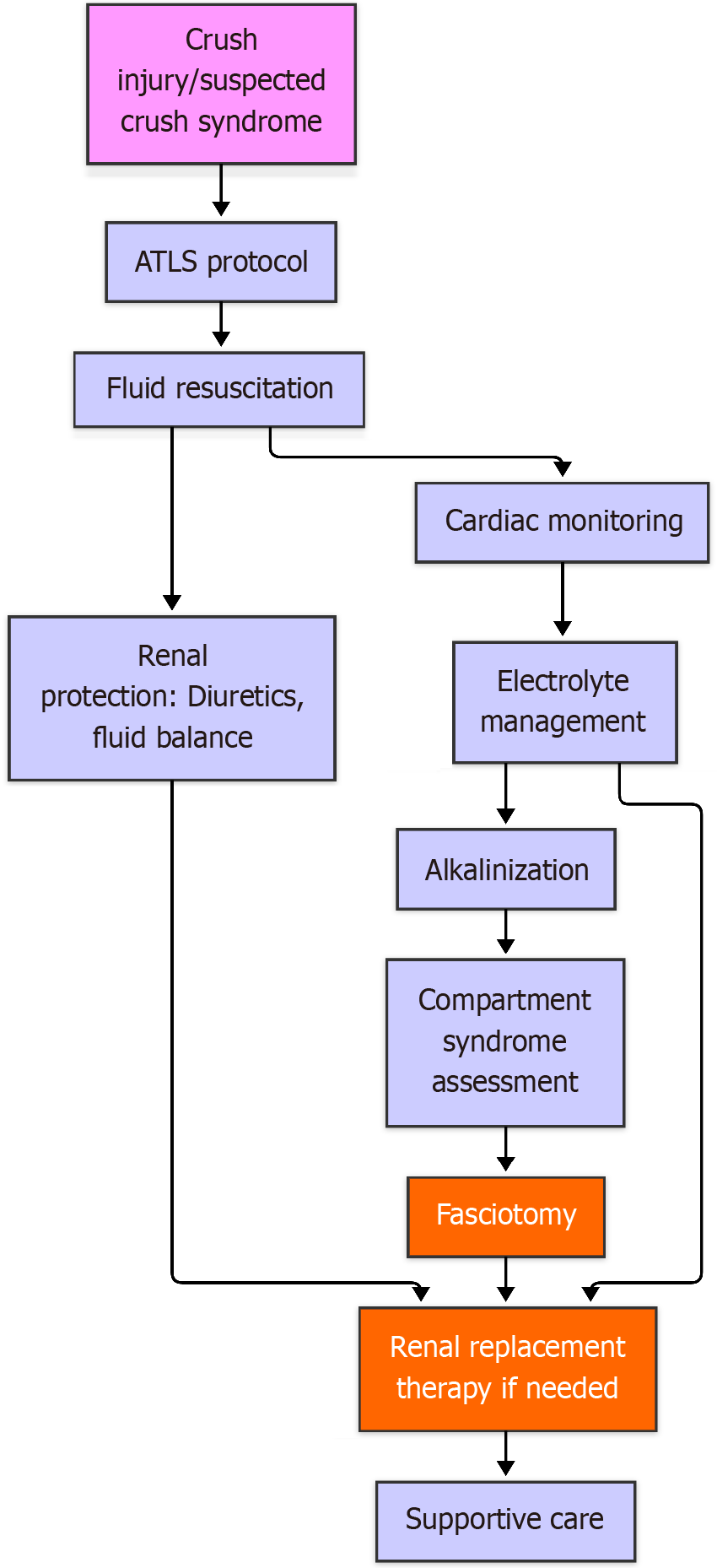 Pathophysiology And Management Of Crush Syndrome A Narrative Review