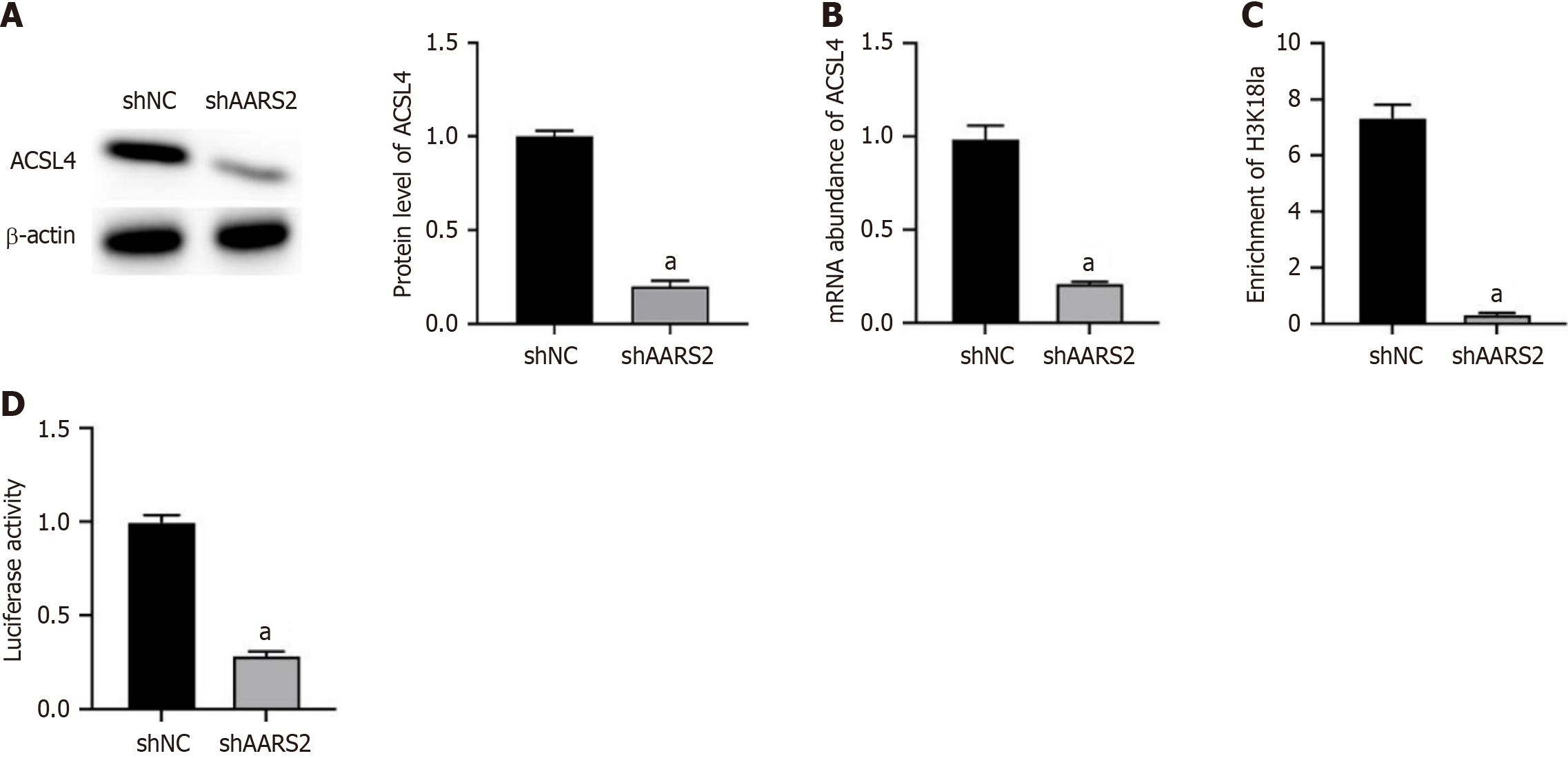 Mitochondrial alanyl-tRNA synthetase 2 mediates histone lactylation to ...