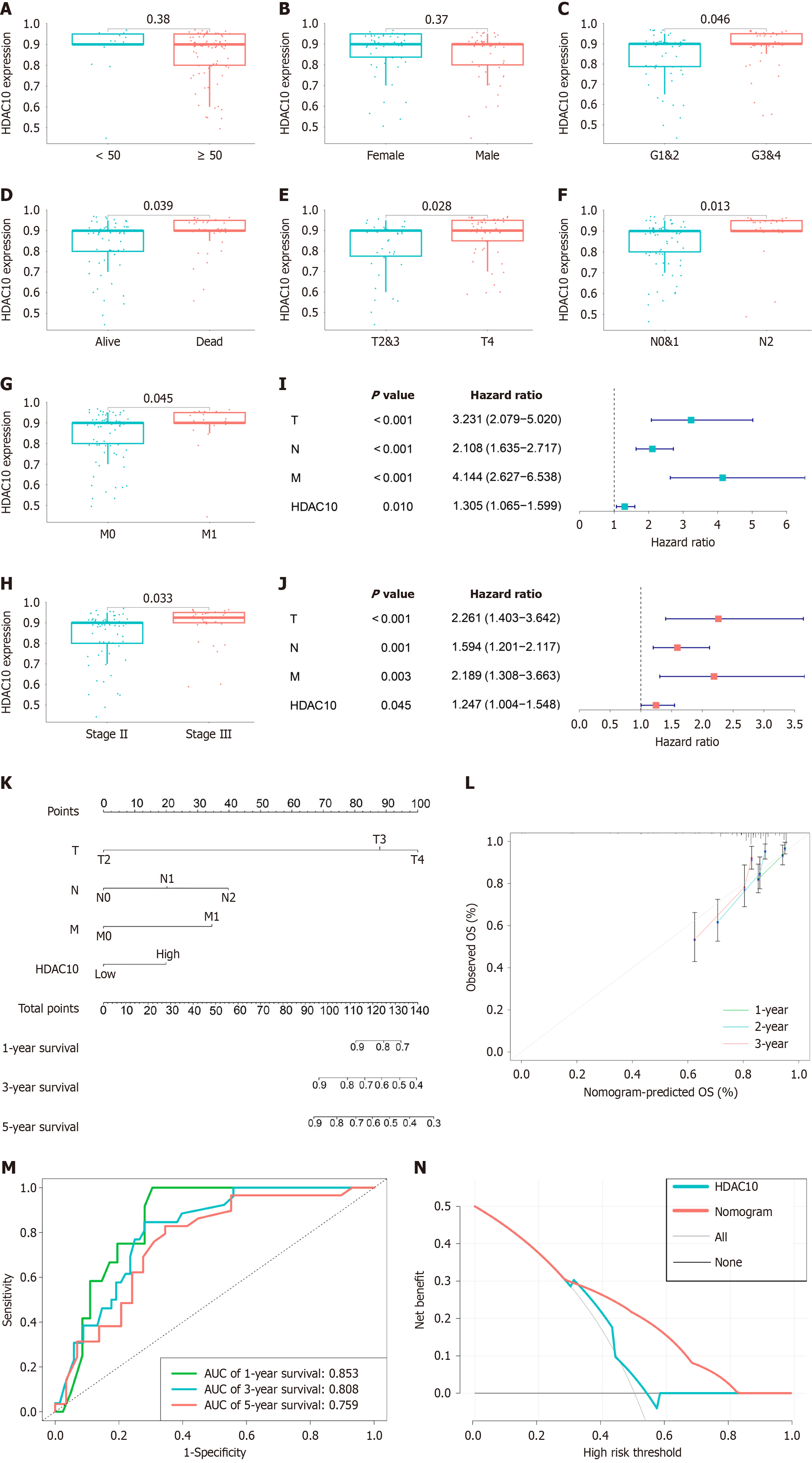 Histone deacetylases 10 as a prognostic biomarker correlates with tumor ...