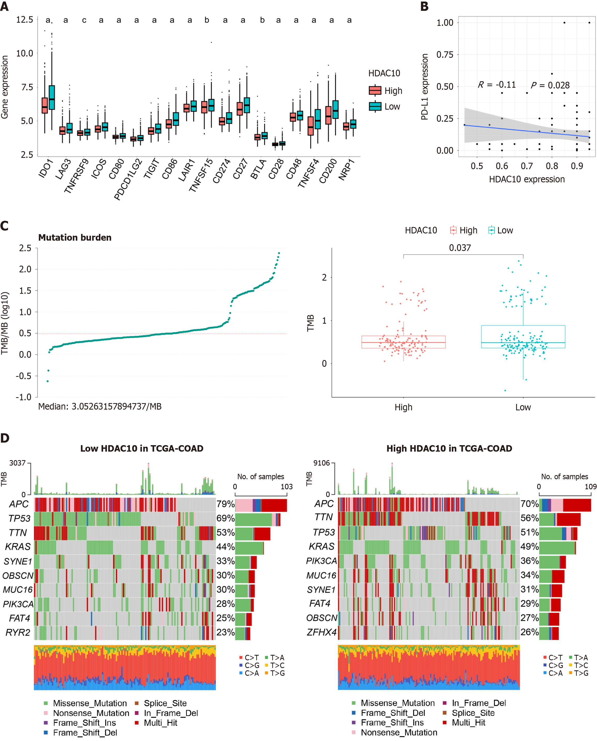 Histone deacetylases 10 as a prognostic biomarker correlates with tumor ...