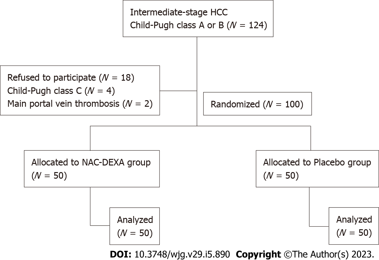 Efficacy of dexamethasone and N-acetylcysteine combination in ...