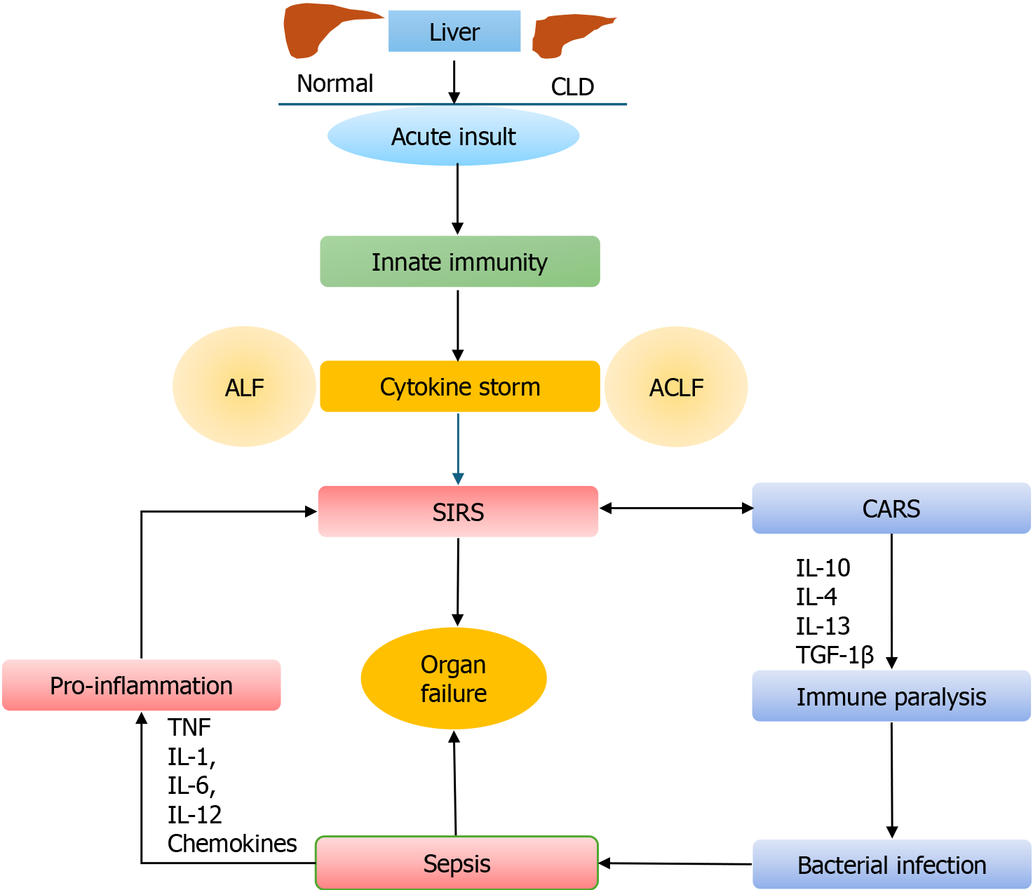 Sepsis in liver failure patients: Diagnostic challenges and recent ...