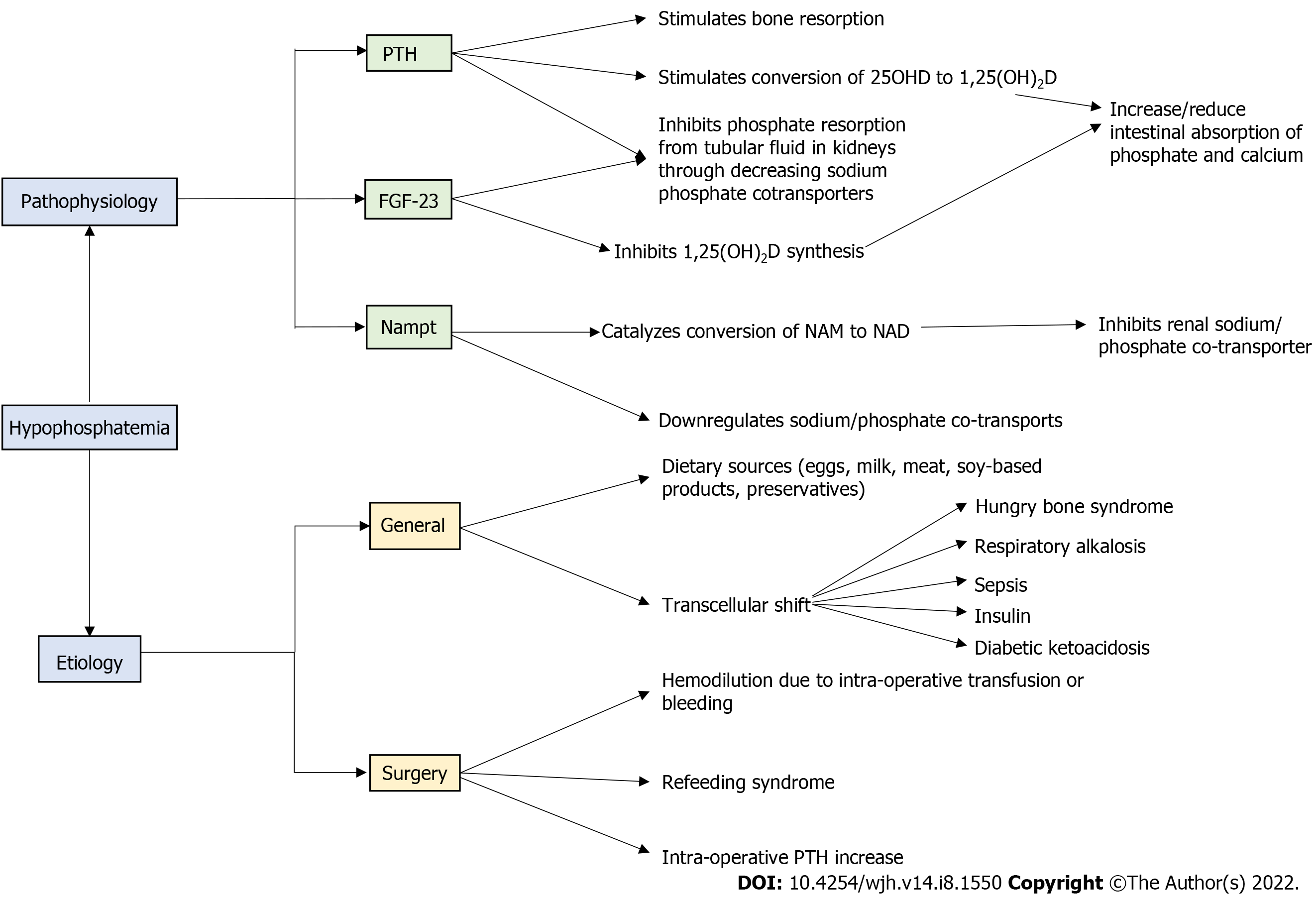 Hypophosphatemia