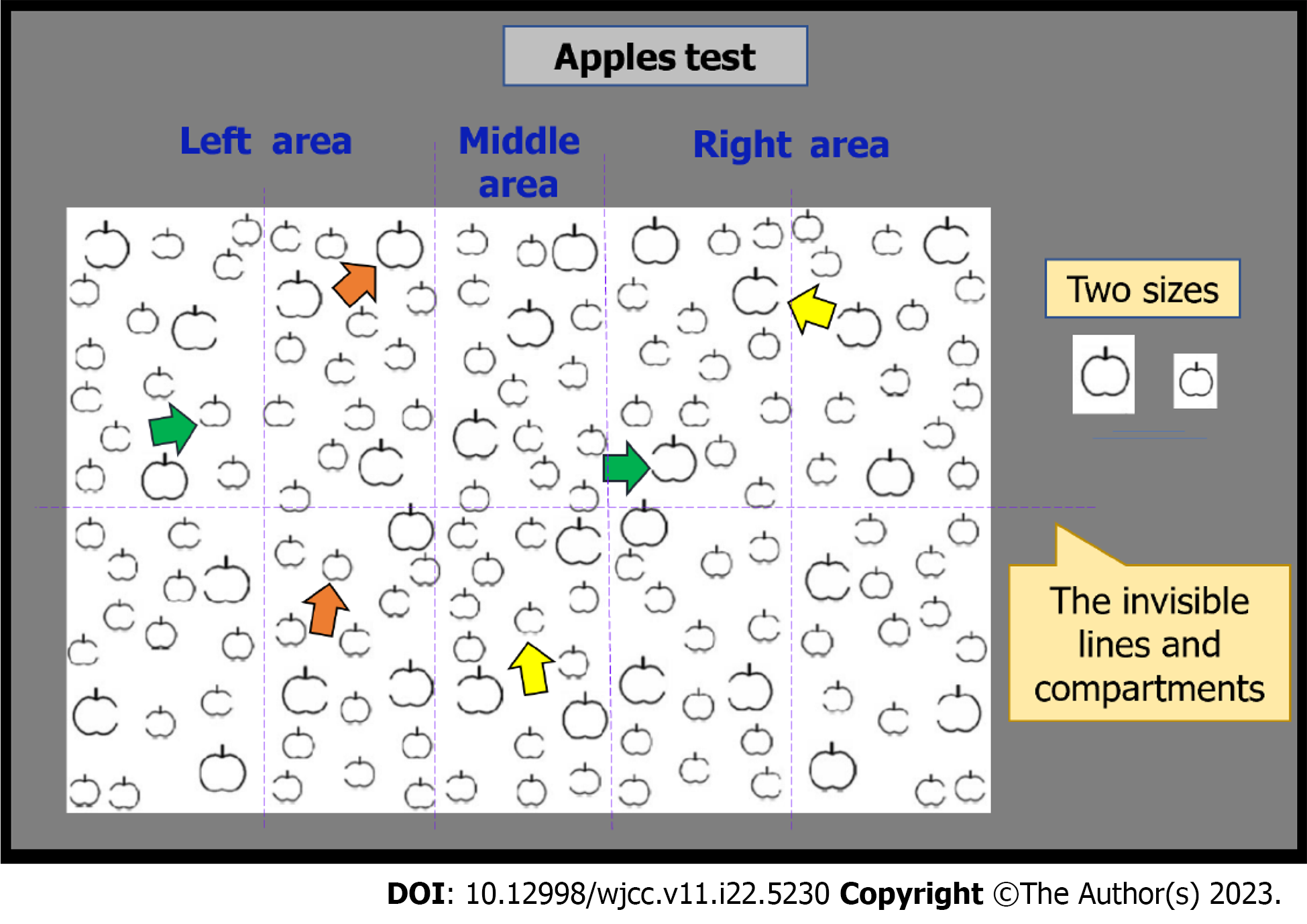 Standardization of apple cancellation test for neglect patients in ...