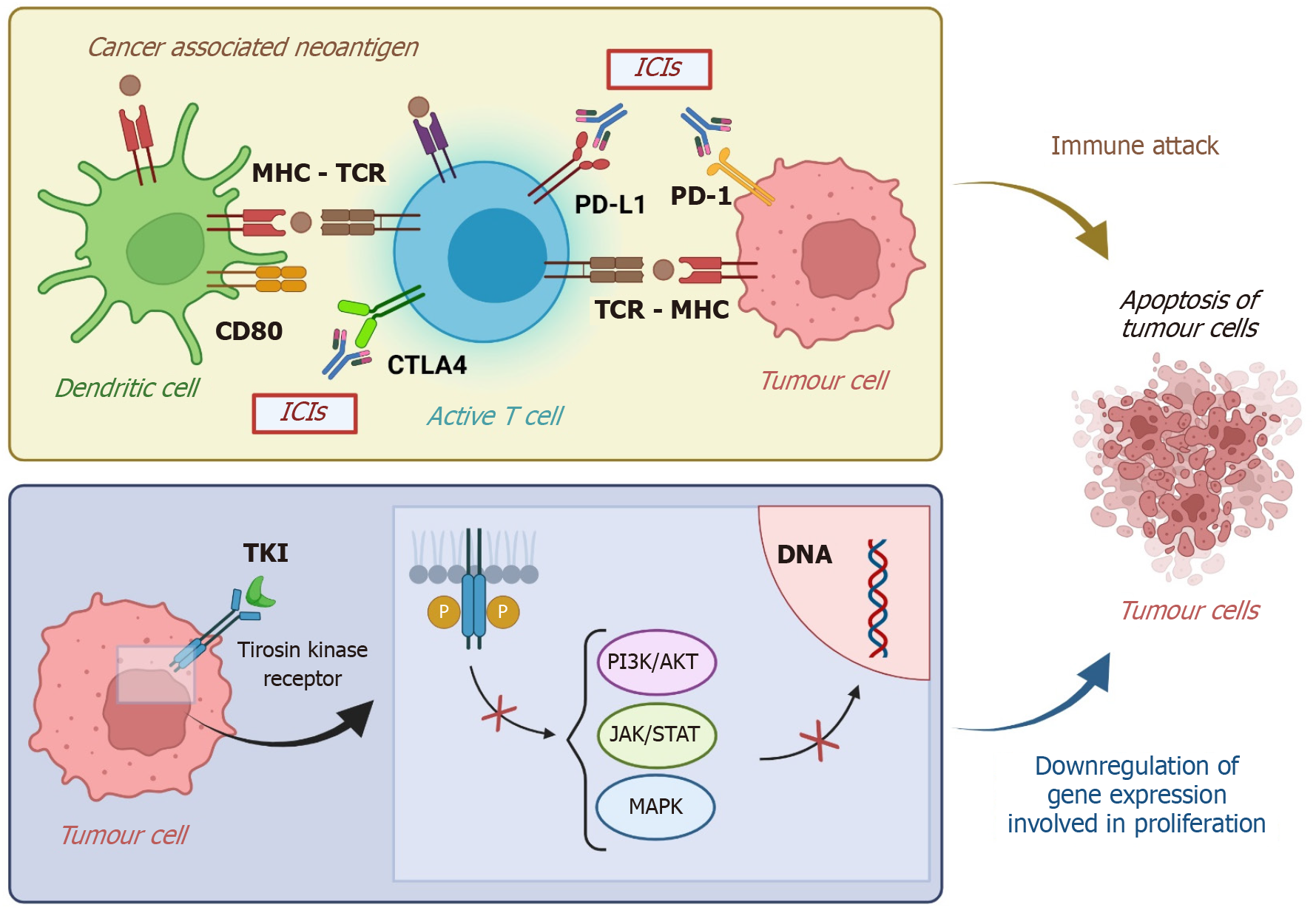 Post-immunotherapy second-line strategies for hepatocellular carcinoma ...