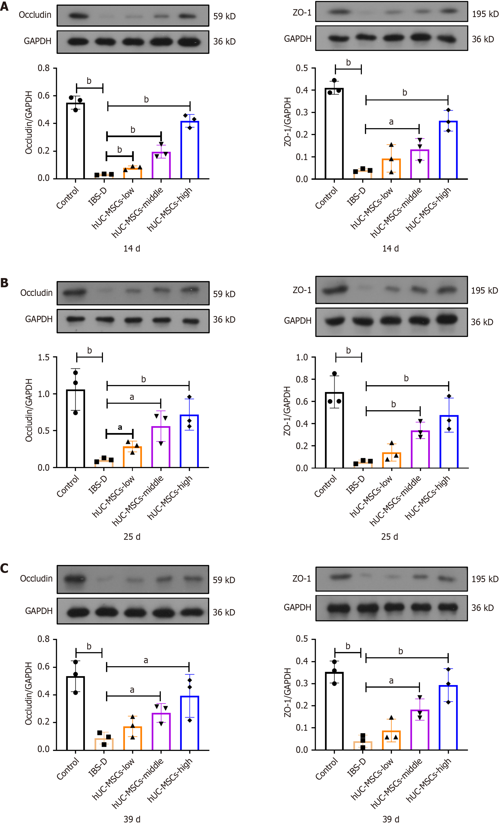 Human umbilical cord mesenchymal stem cells alleviated diarrhea-type ...