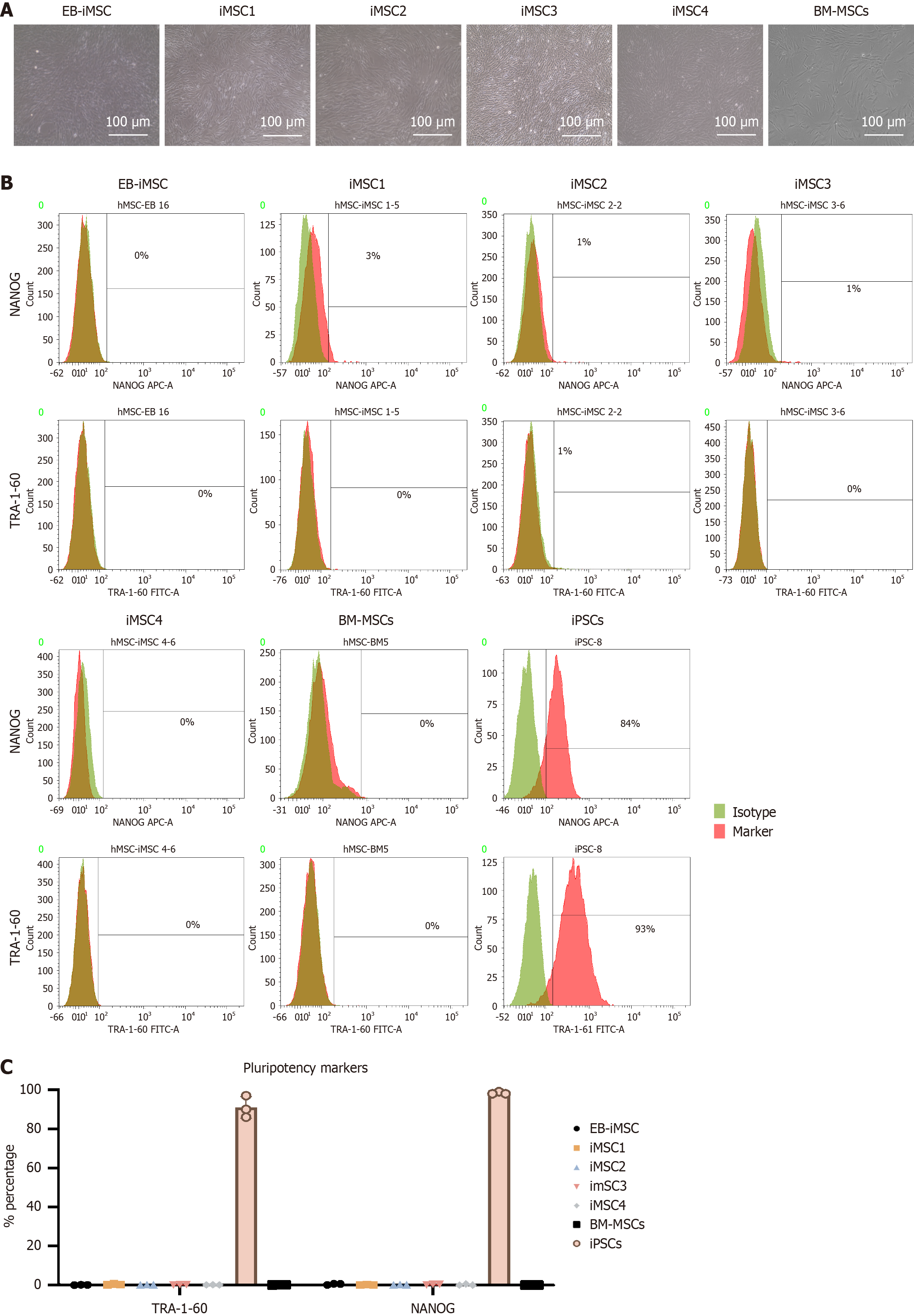 Impact of differentiation protocols on the functionality of mesenchymal ...