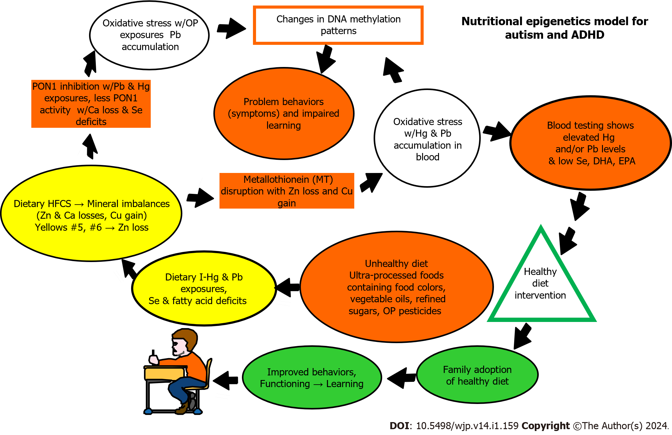 Nutritional epigenetics education improves diet and attitude of parents ...